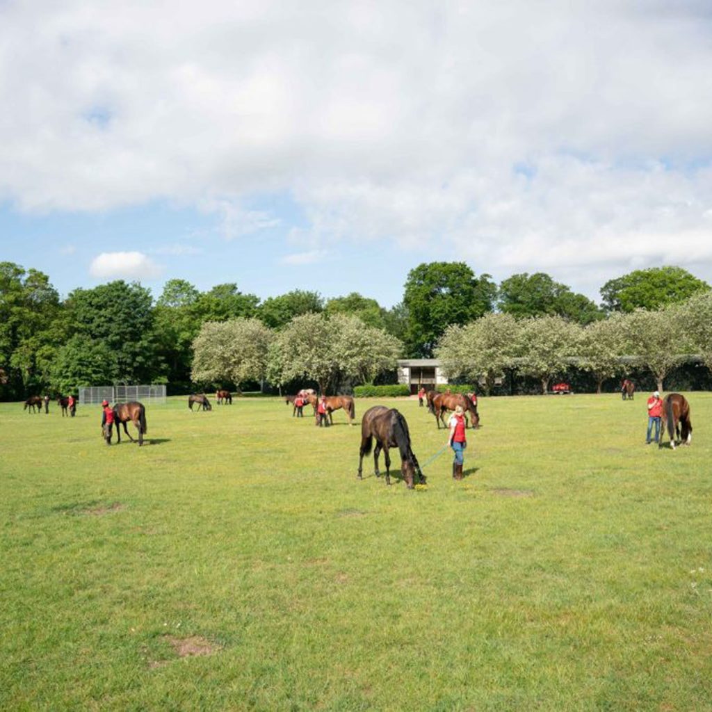 Charlie Fellowes Racing