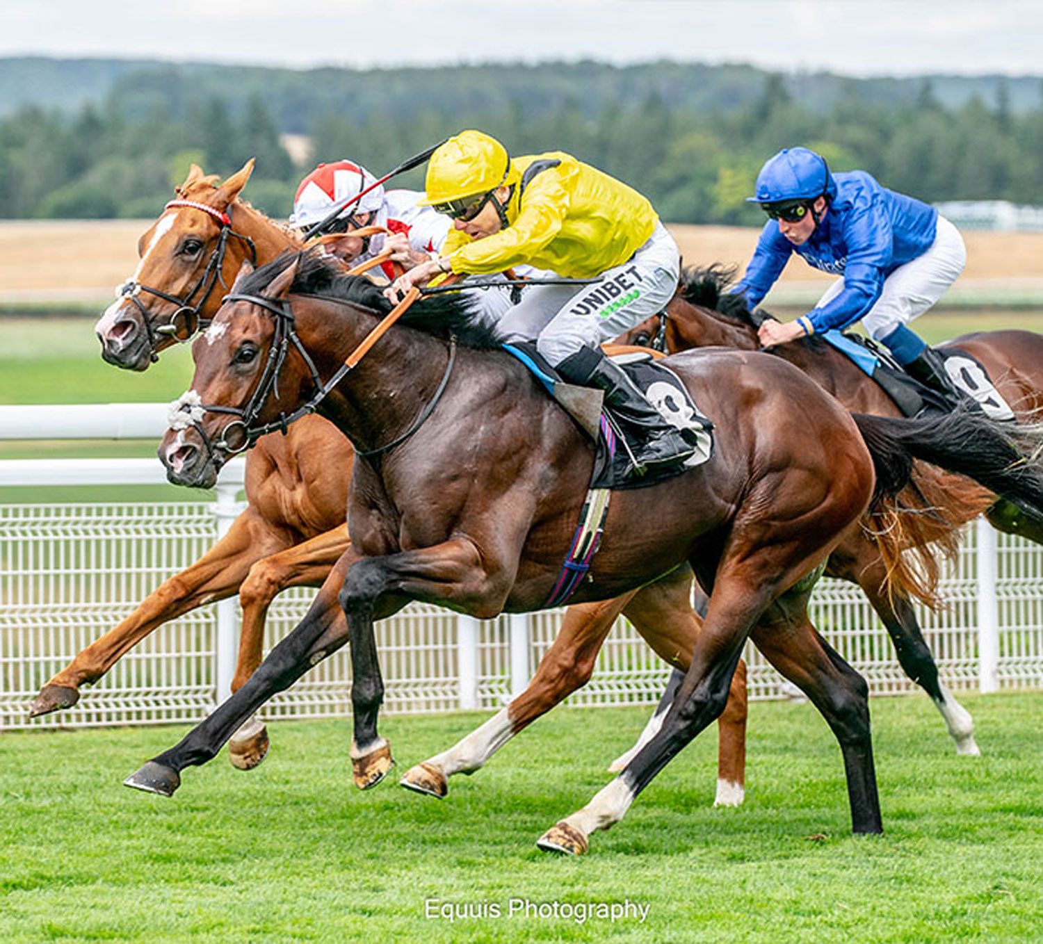 Charlie Fellowes Racing