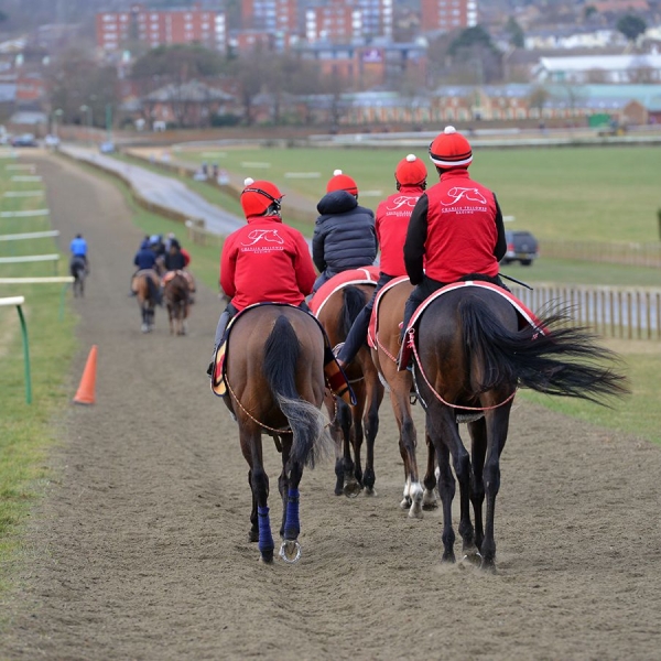 Gallery – Charlie Fellowes Racing