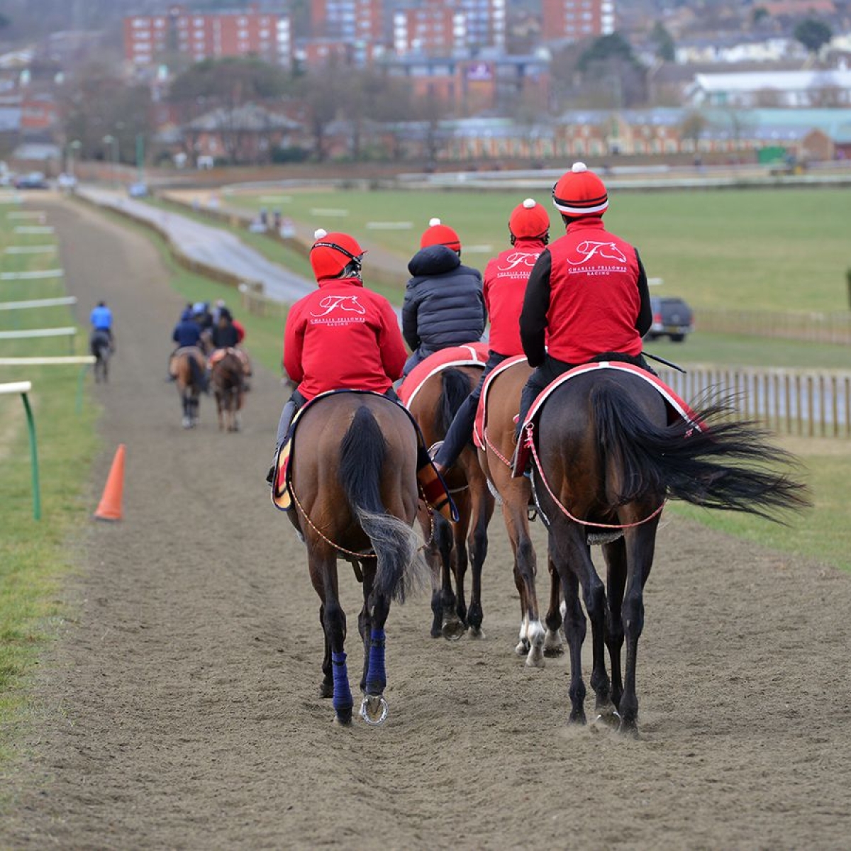 Gallery – Charlie Fellowes Racing