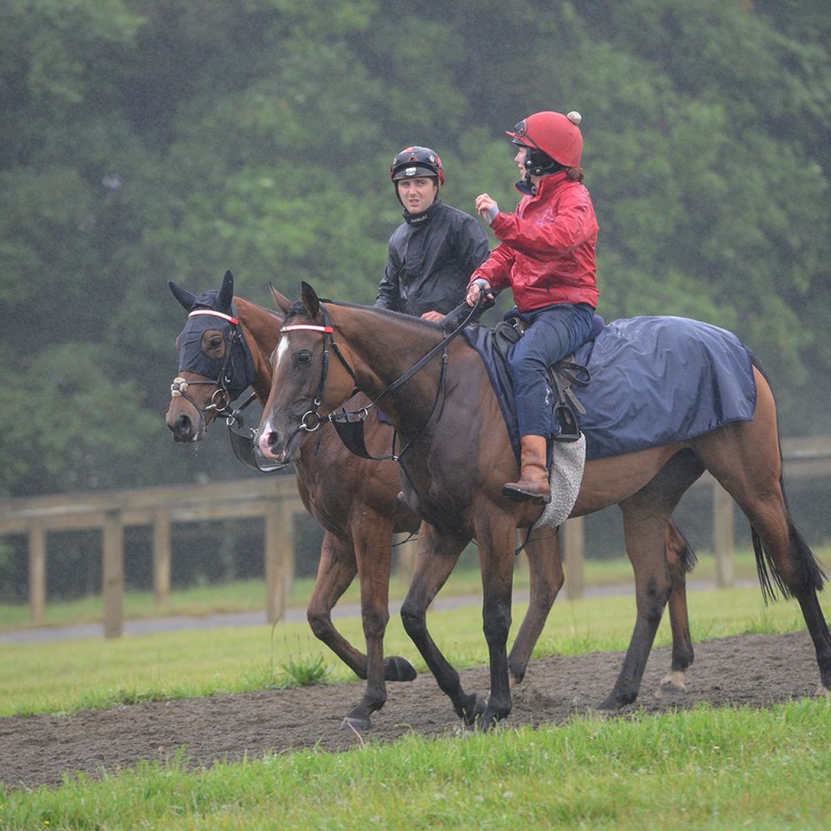 Gallery – Charlie Fellowes Racing