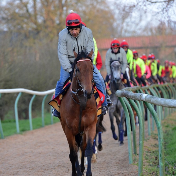 Gallery – Charlie Fellowes Racing