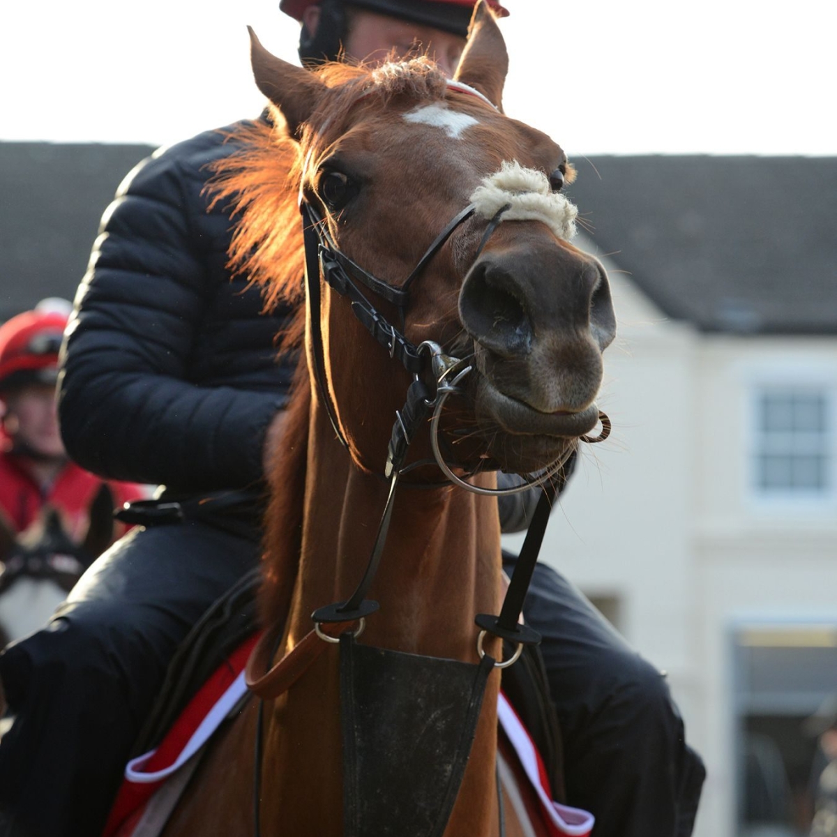 Gallery – Charlie Fellowes Racing