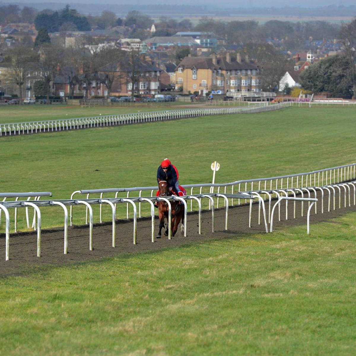 Gallery – Charlie Fellowes Racing