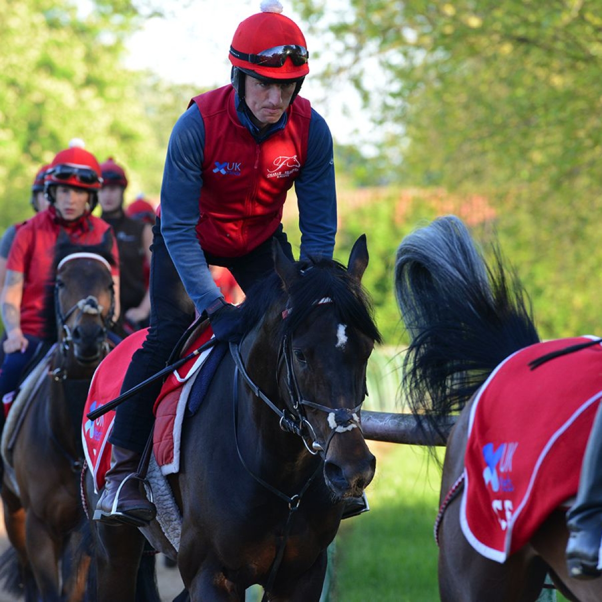 Gallery – Charlie Fellowes Racing