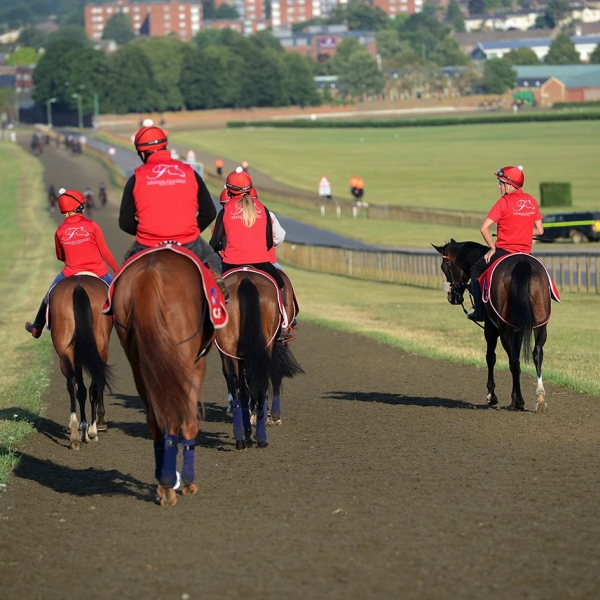 Gallery – Charlie Fellowes Racing