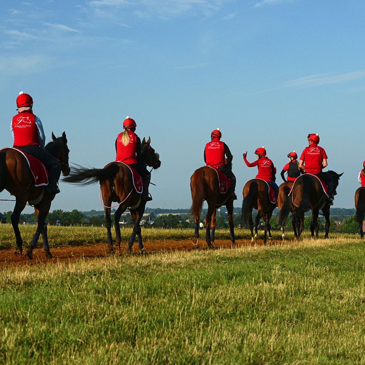 Gallery – Charlie Fellowes Racing