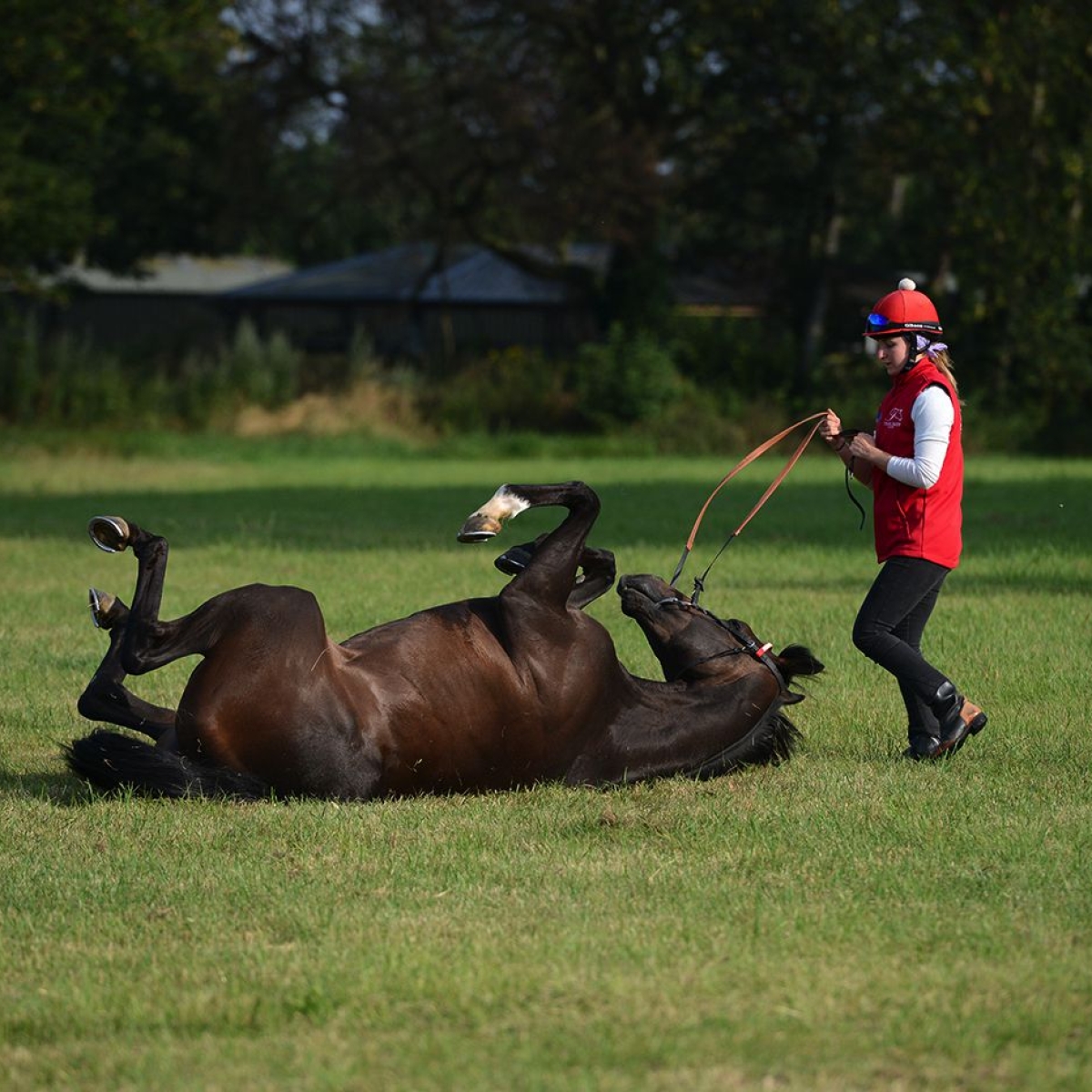 Gallery – Charlie Fellowes Racing