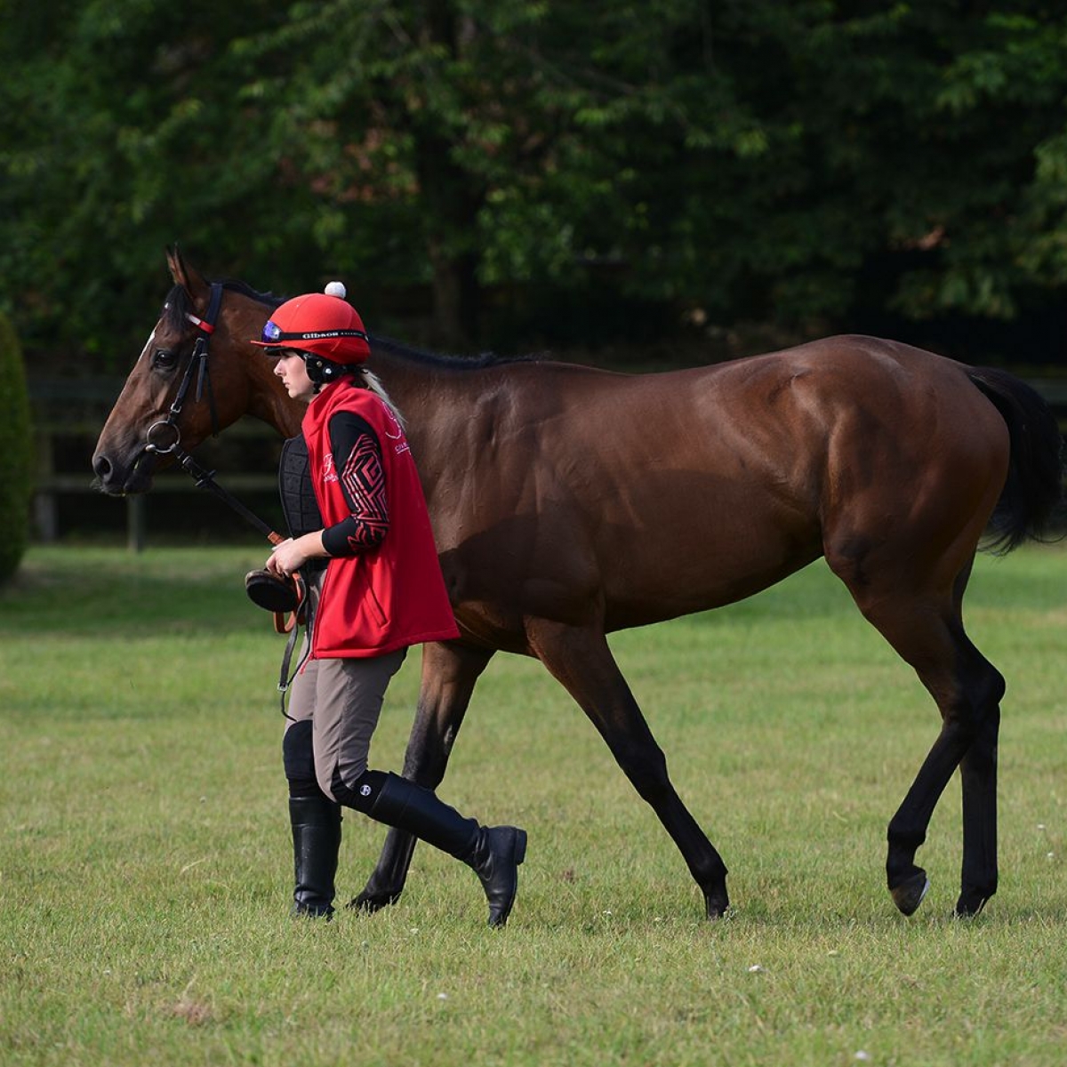 Gallery – Charlie Fellowes Racing