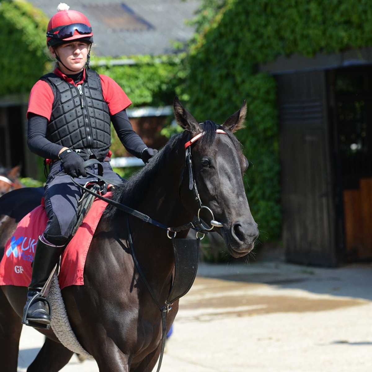 Gallery – Charlie Fellowes Racing