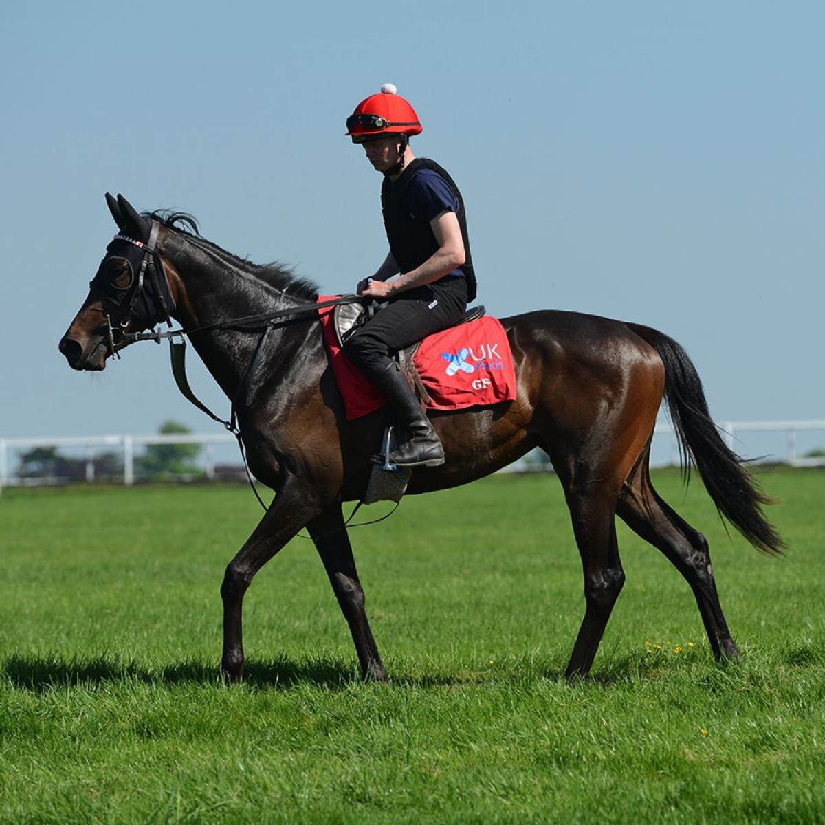 Gallery – Charlie Fellowes Racing