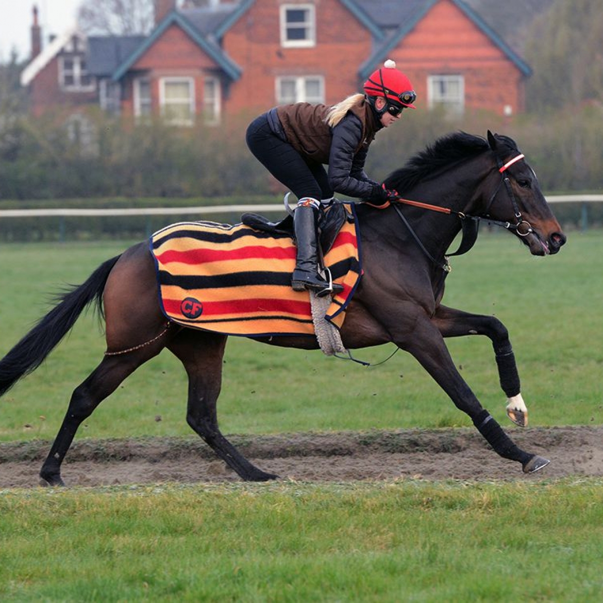 Gallery – Charlie Fellowes Racing