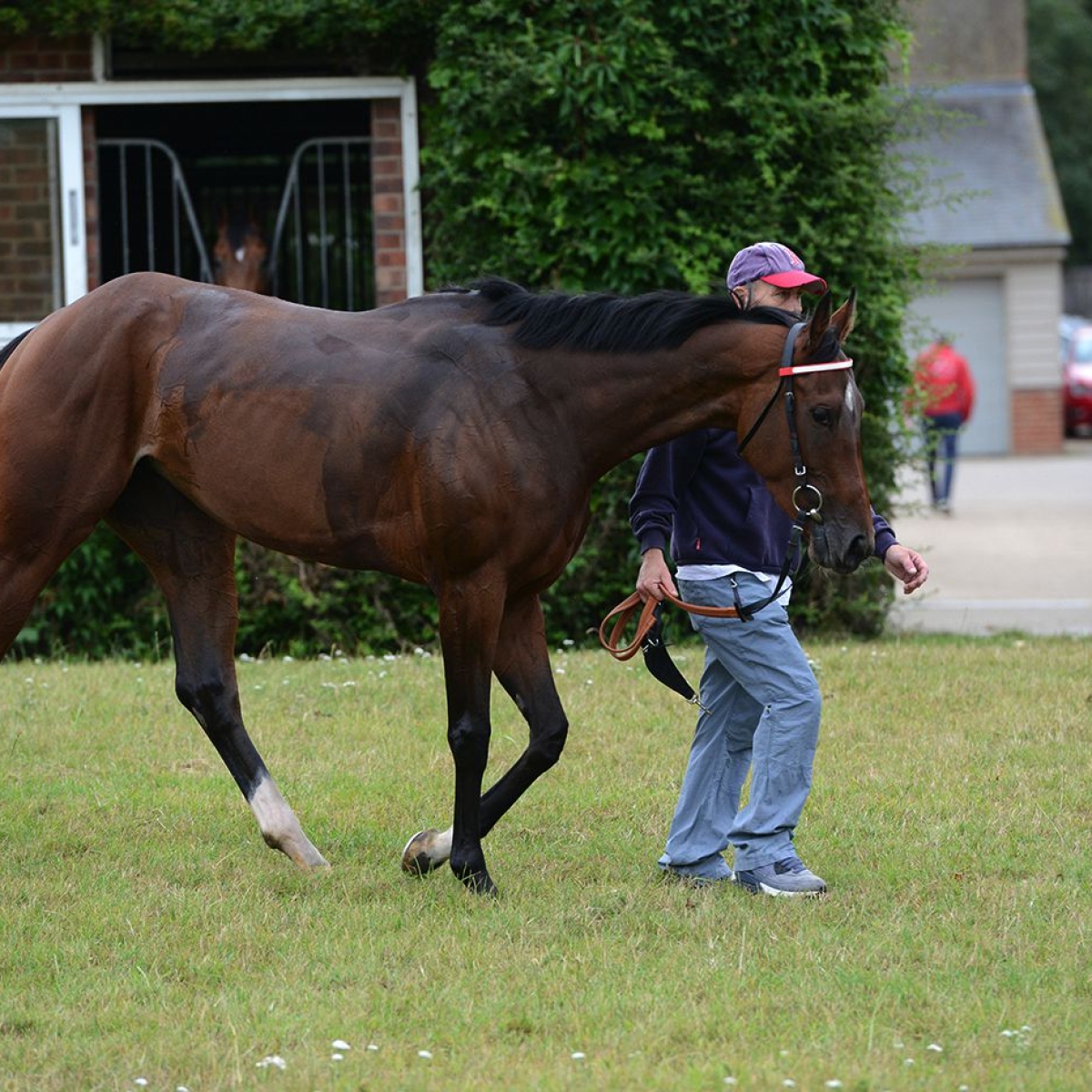 Gallery – Charlie Fellowes Racing