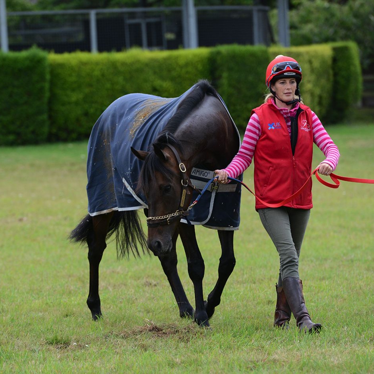 Gallery – Charlie Fellowes Racing