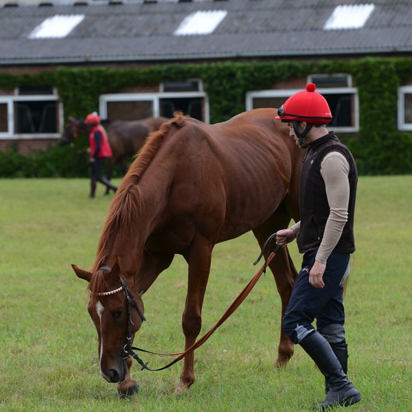 Gallery – Charlie Fellowes Racing