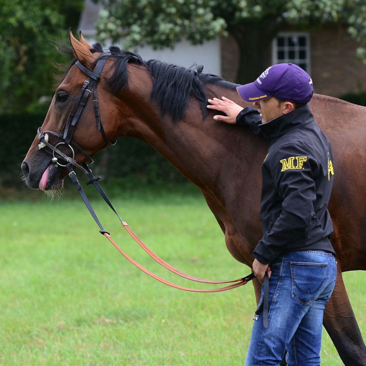 Gallery – Charlie Fellowes Racing