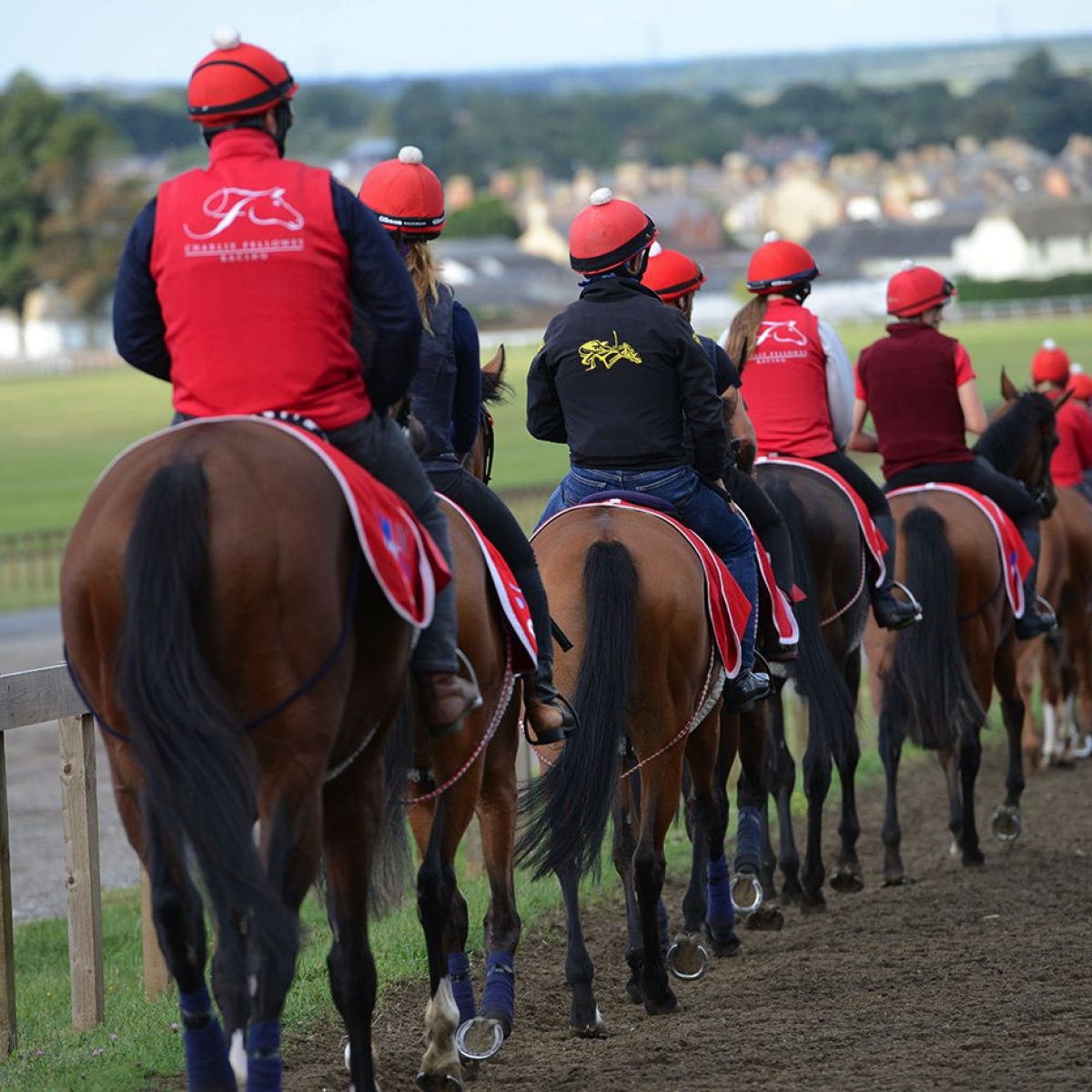 Gallery – Charlie Fellowes Racing