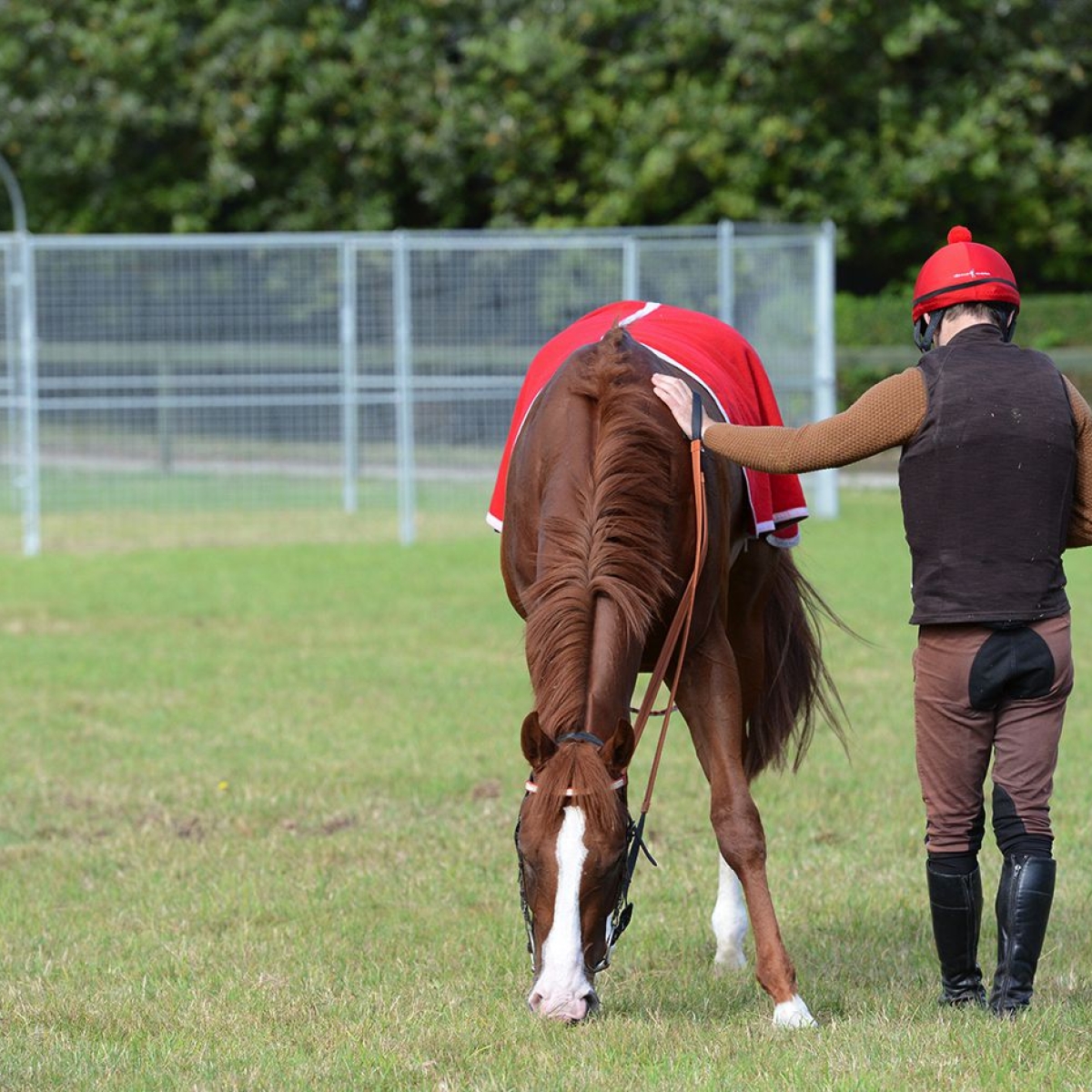 Gallery – Charlie Fellowes Racing