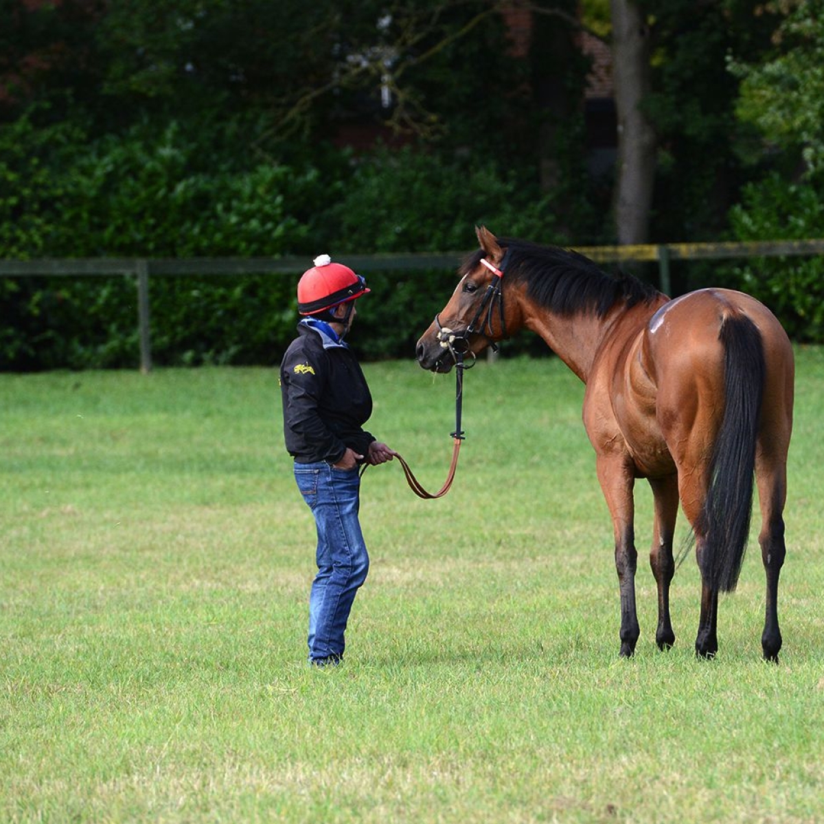 Gallery – Charlie Fellowes Racing