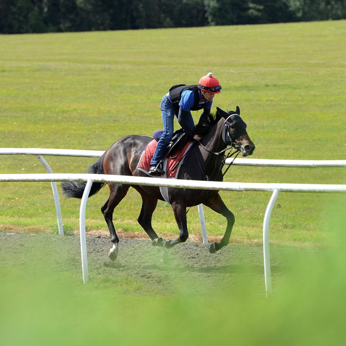 Gallery – Charlie Fellowes Racing