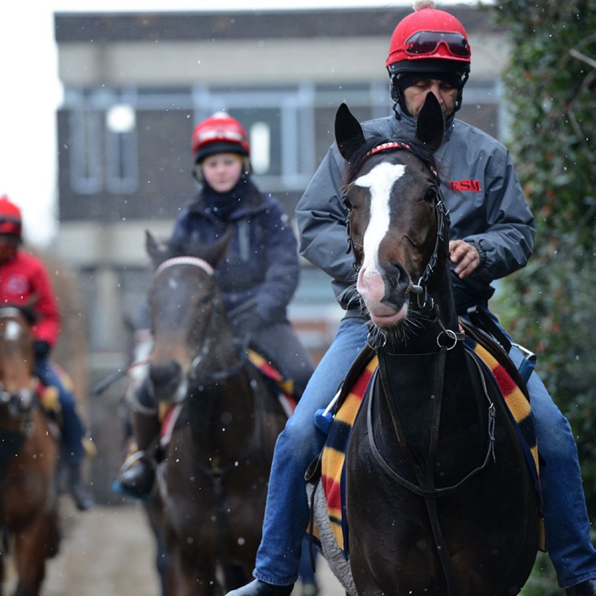 Gallery – Charlie Fellowes Racing