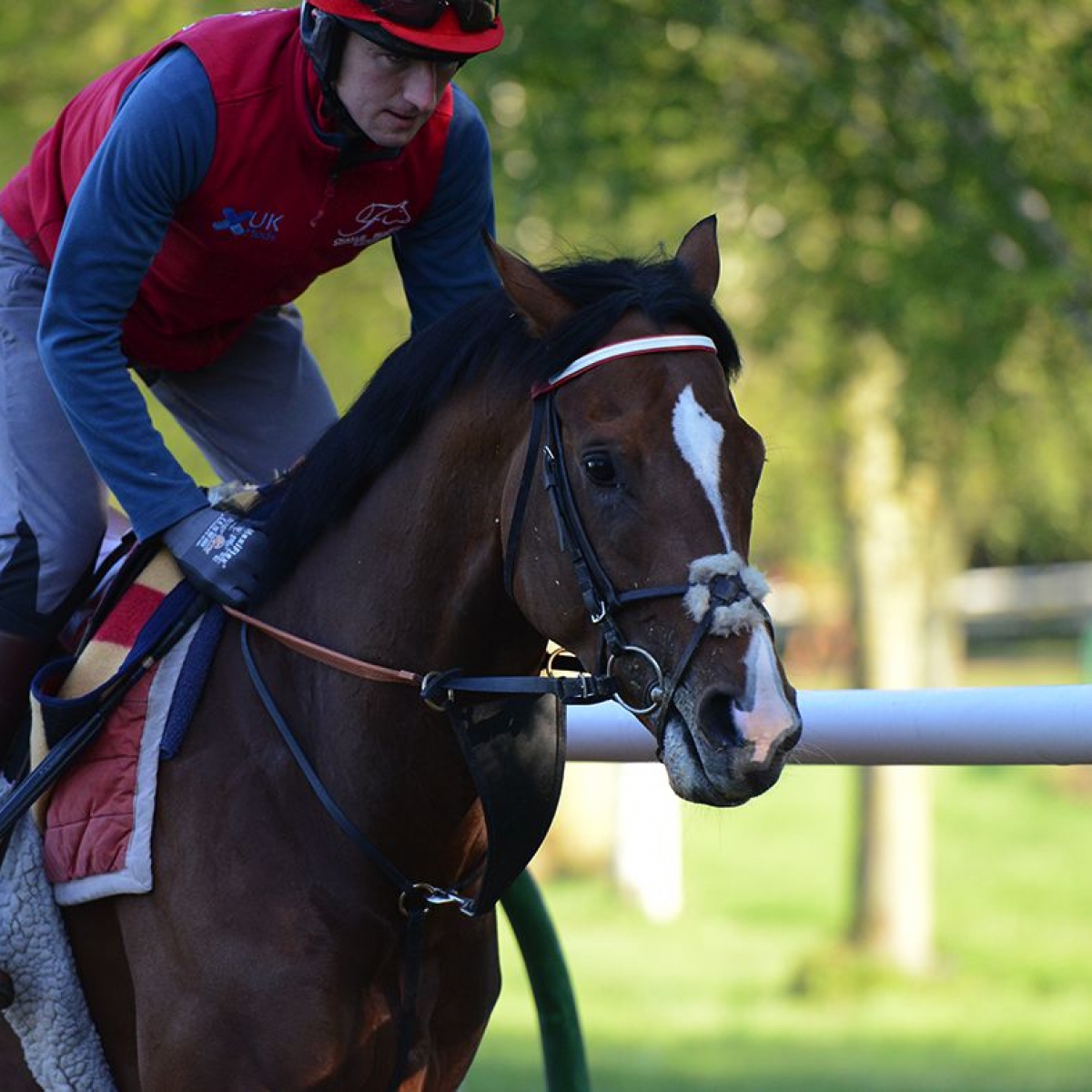 Gallery – Charlie Fellowes Racing