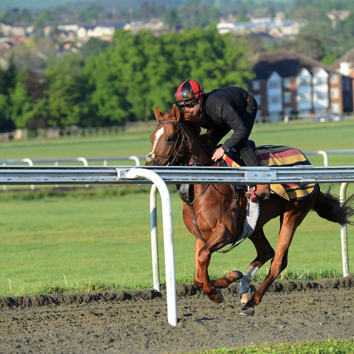 Gallery – Charlie Fellowes Racing