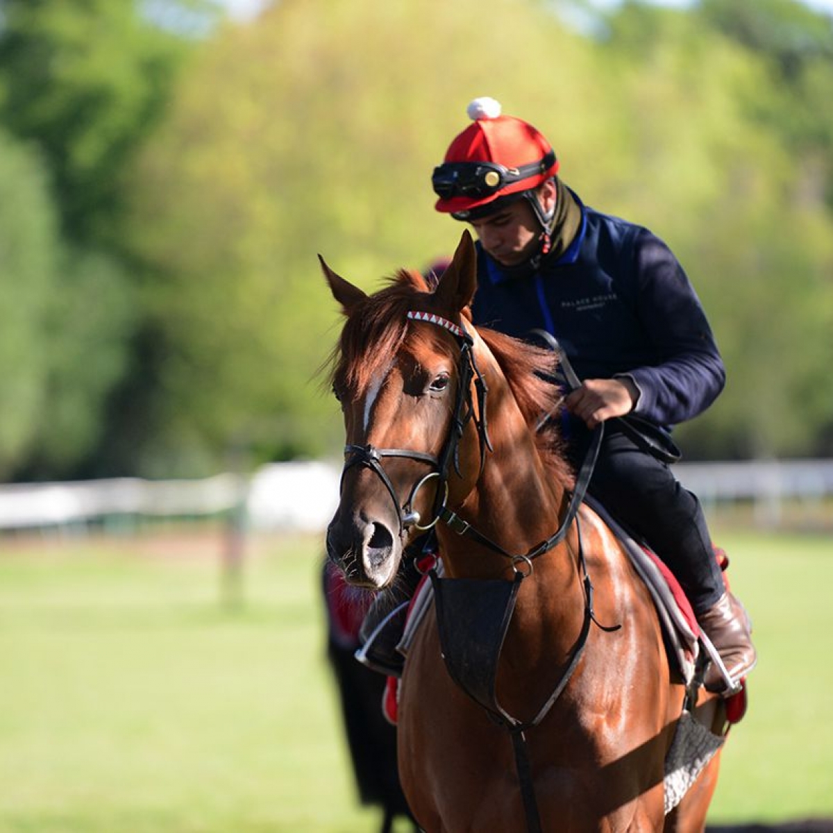 Gallery – Charlie Fellowes Racing